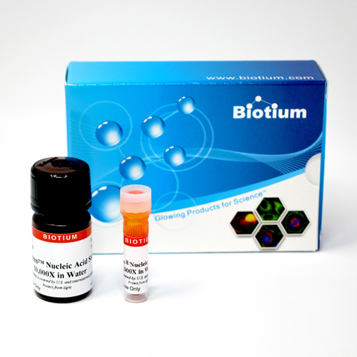 Biotium GELGREEN Nucleic Acid Gel Stain in Water; 10,000 x (0.5ml ...