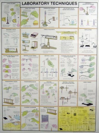 Chart, Gen, Laboratory Techniques | Southern Cross Science