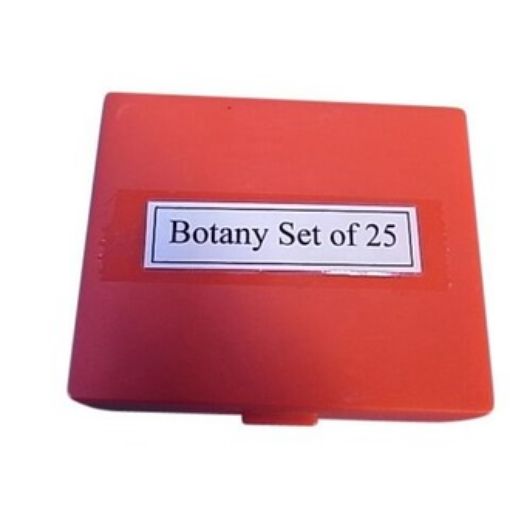 Slide, Microscope, Prepared, Set/25, Botany | Southern Cross Science