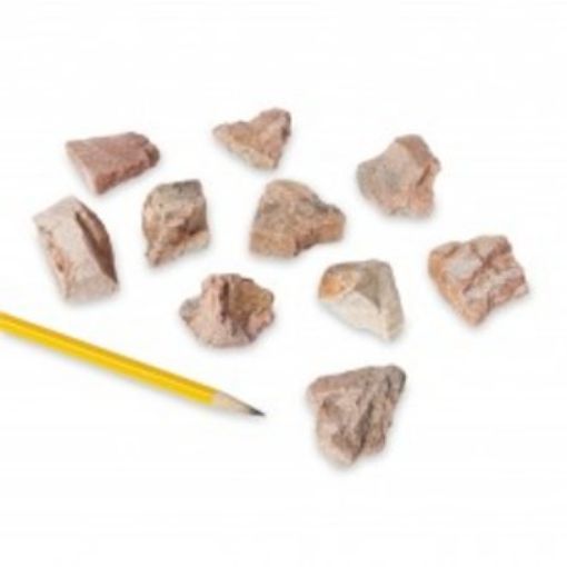 Rock, Microcline (Granite/Pink), pack of 10 | Southern Cross Science