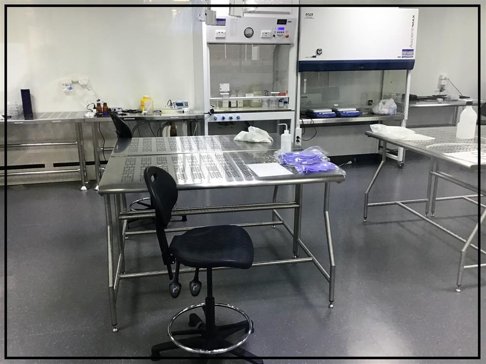 Lab Construction and Fit Outs | Southern Cross Science